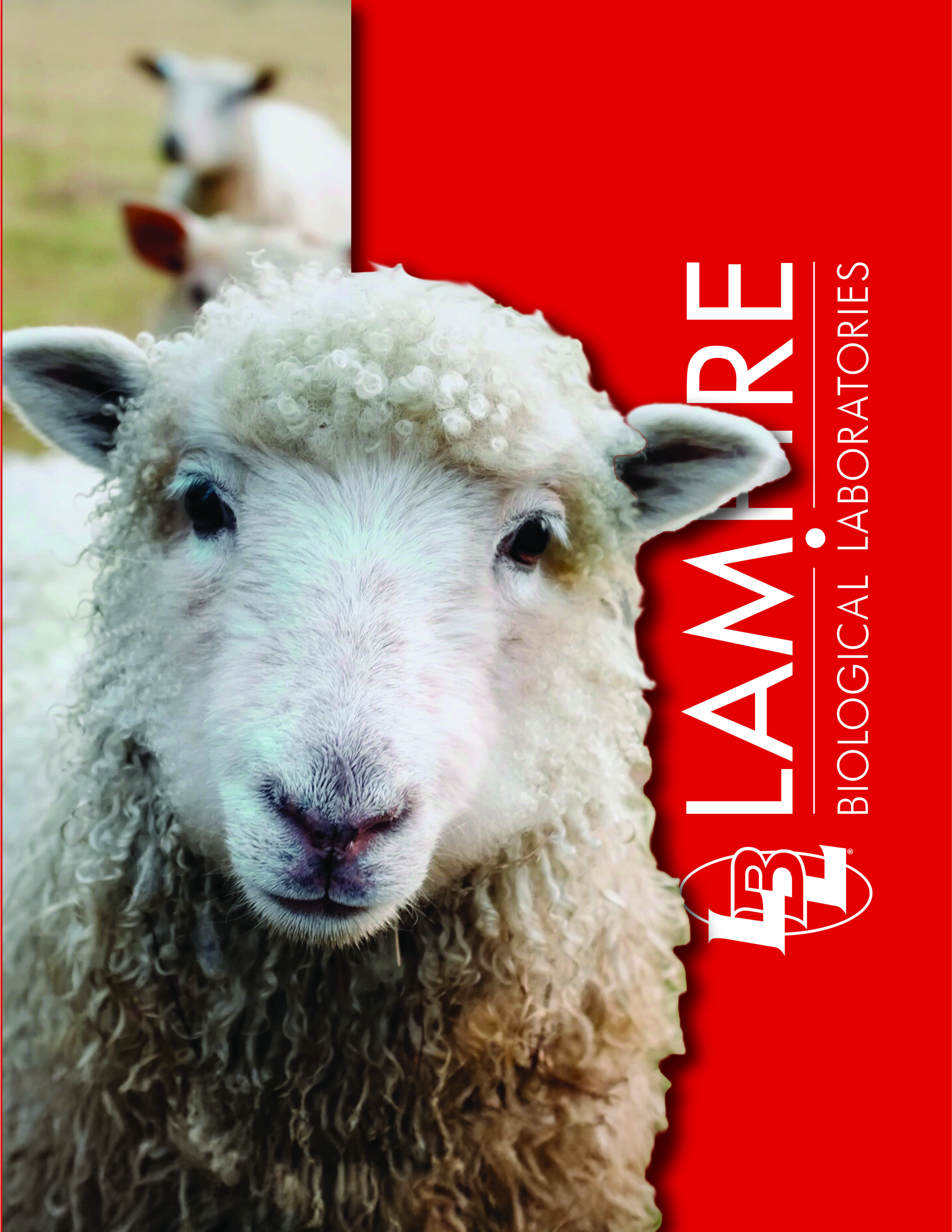 Polyclonal Antibody Services | Lampire Biological Laboratories, Inc.